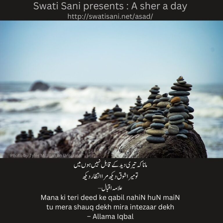 Mana ki teri deed ke qabil nahiN huN maiN - A Sher A Day